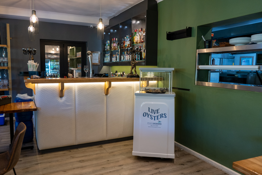 Curved Oyster Tank – Mini Oceans