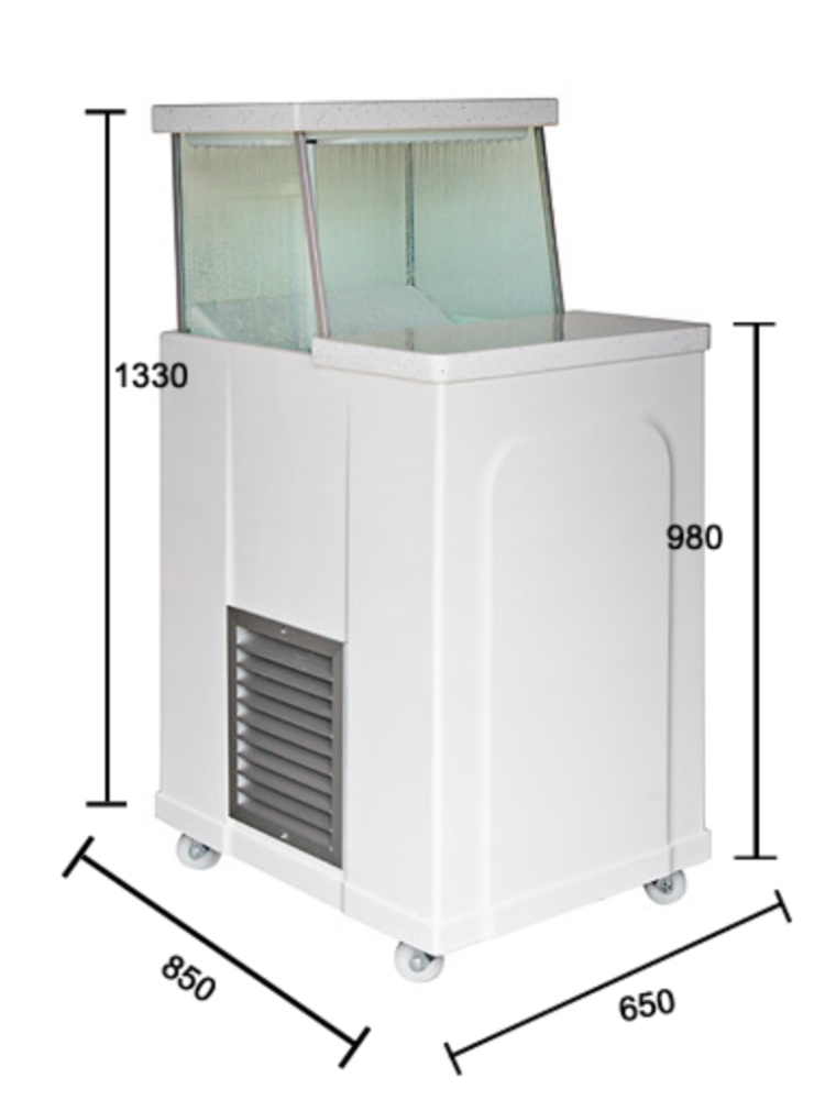 Square Oyster Tank – Mini Oceans